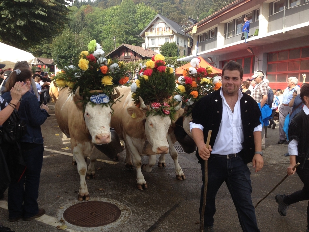 The désalpe – she’ll be thundering down the mountain