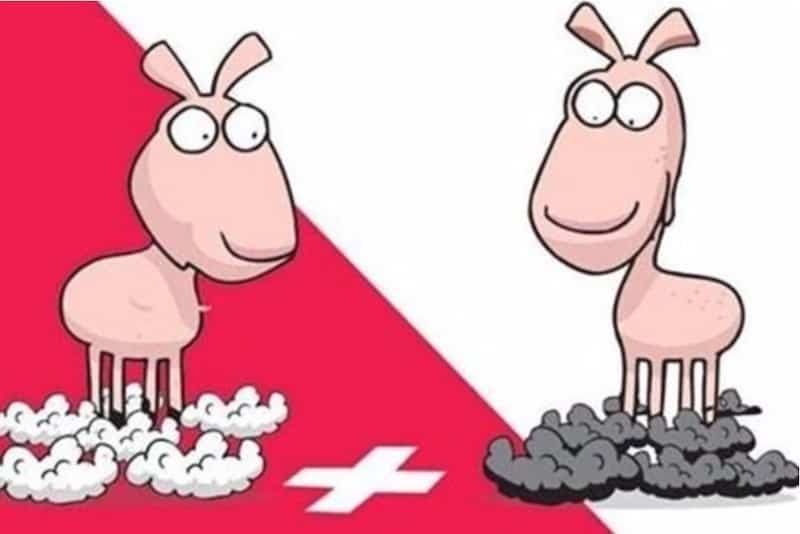 After the vote the UDC poster with the black and white sheep gets a ...