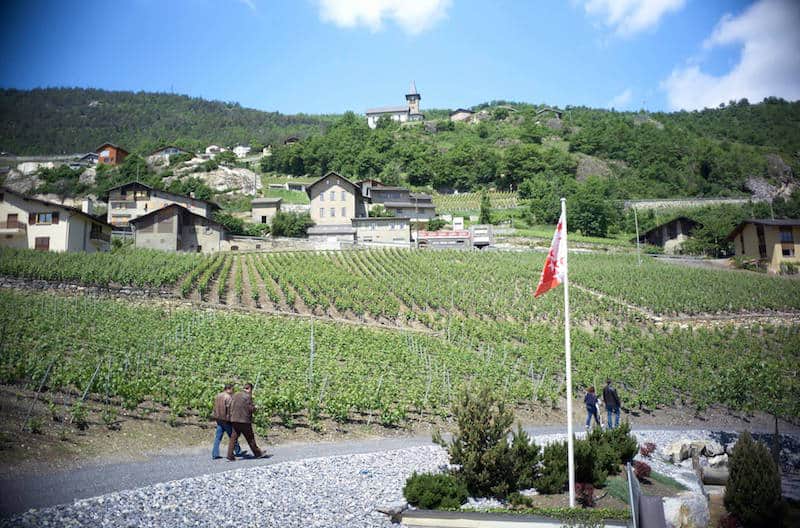 Wine cellars in Valais open their doors this weekend