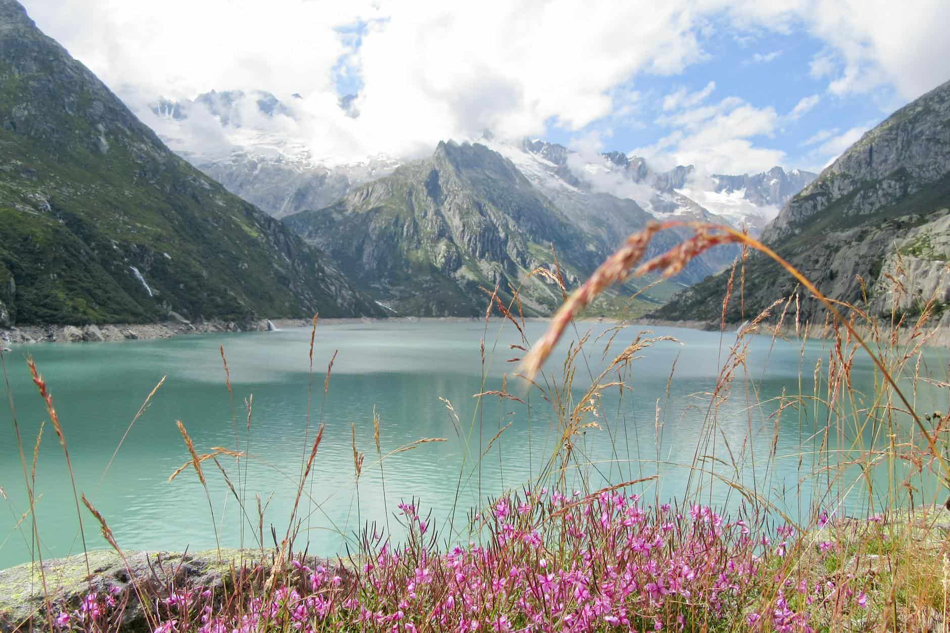 Swiss to vote on biodiversity initiative